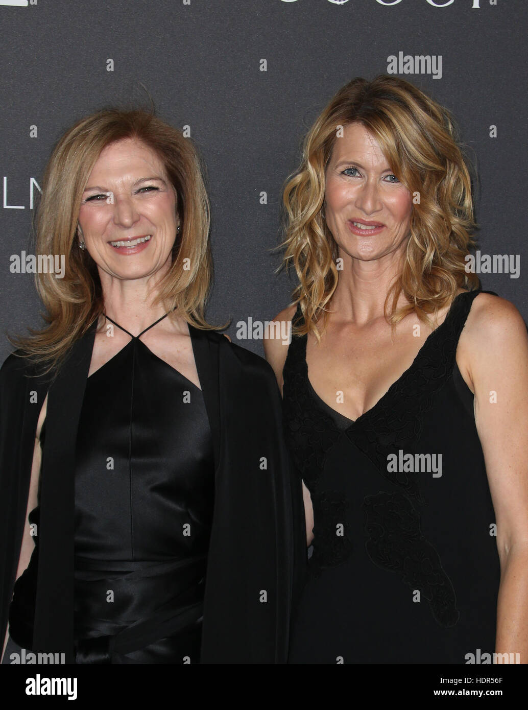 Dawn Hudson and Laura Dern attending the 2016 LACMA Art + Film Gala ...