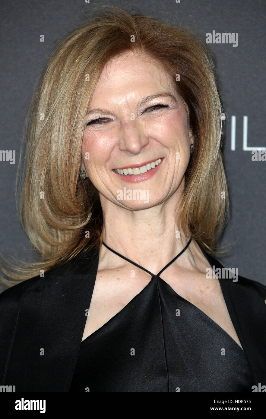 Dawn Hudson attending the 2016 LACMA Art + Film Gala honoring Robert ...