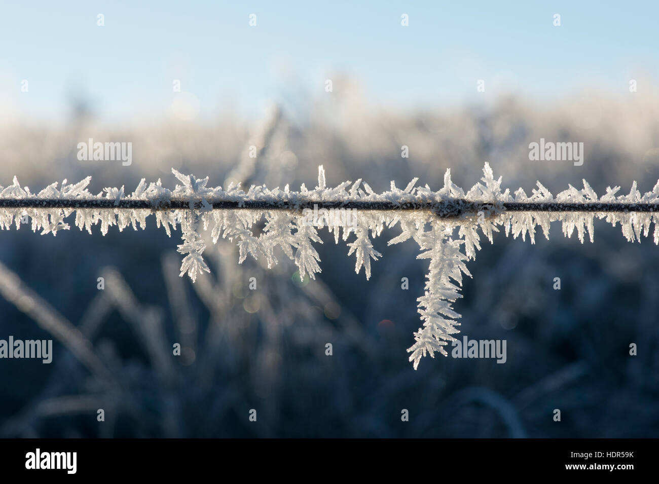 Hoar frost close up metal hi-res stock photography and images - Alamy