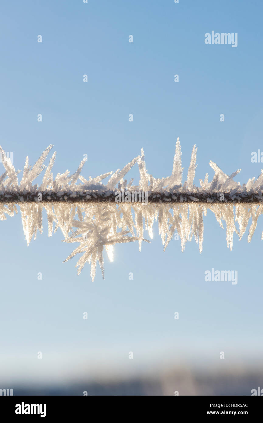 Hoar frost close up metal hi-res stock photography and images - Alamy