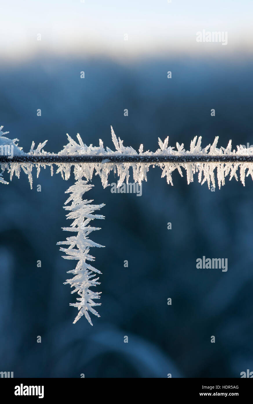 Hoar Frost Close Up Metal High Resolution Stock Photography and Images ...