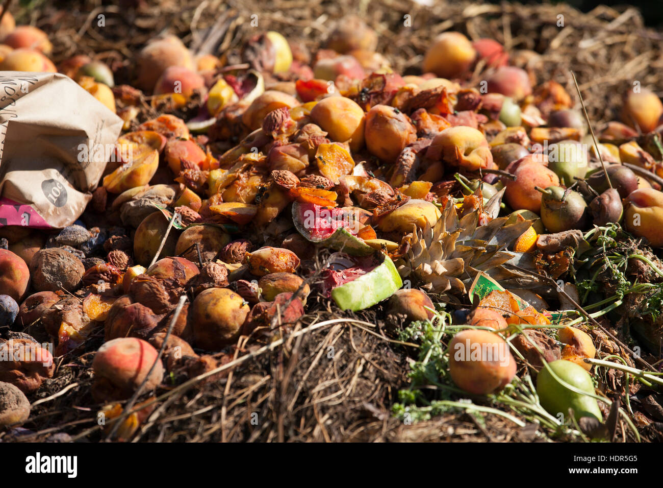 a large compost pile at work in the backyard of a house in the Midwest ...