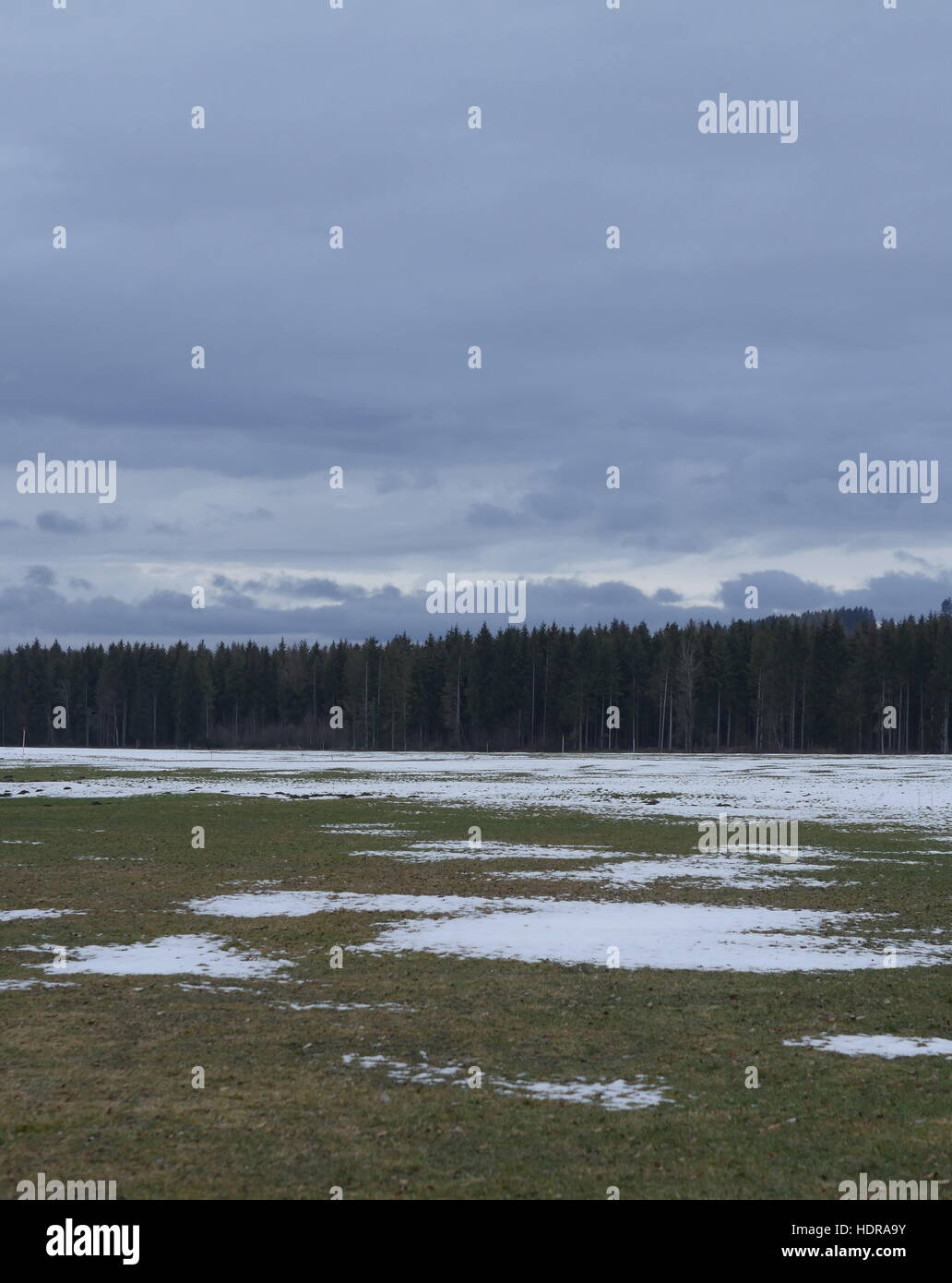 Landscape winter forest from a distance Stock Photo - Alamy