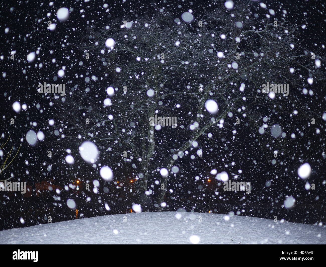 snowfall in the city at night Stock Photo - Alamy