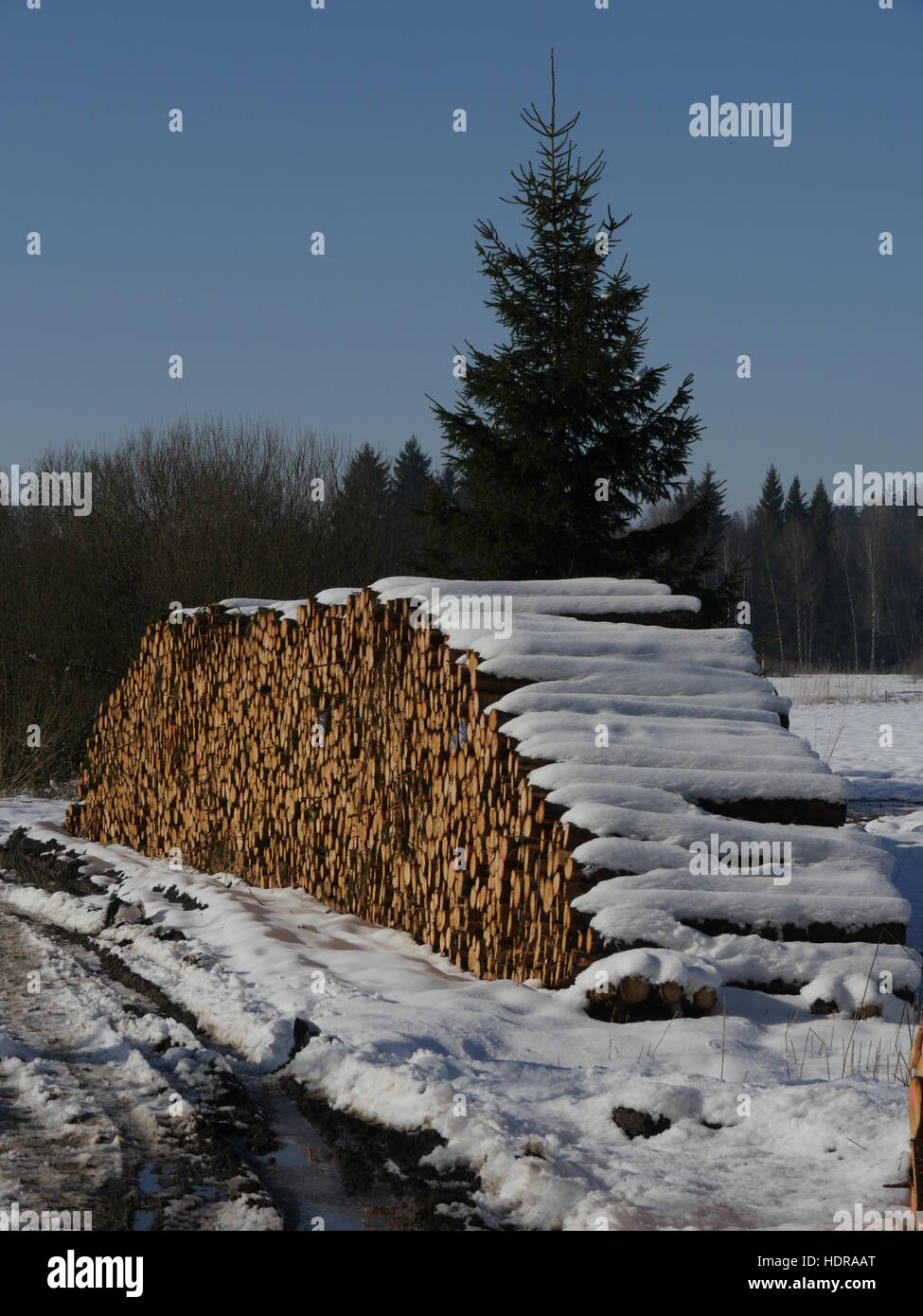 Wood fire outdoors hi-res stock photography and images - Alamy
