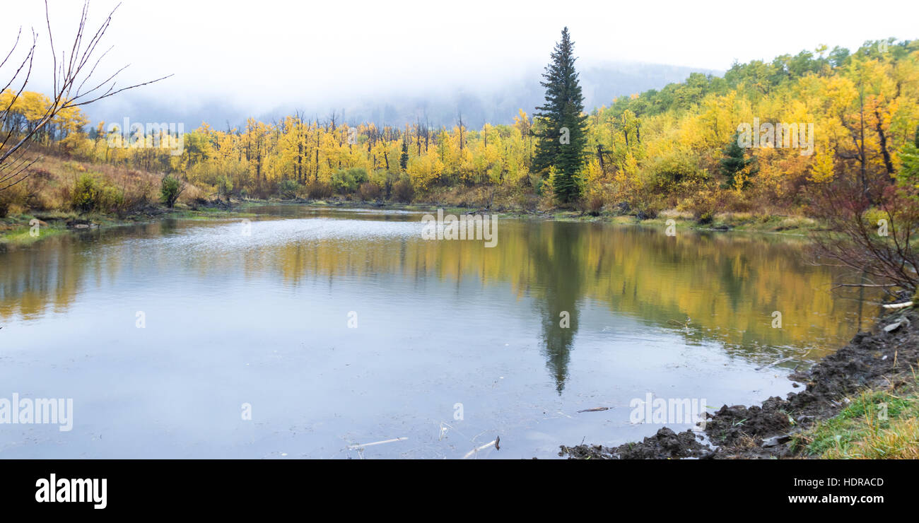colorful scene in eastern Montana with beautiful autumn leaves ...