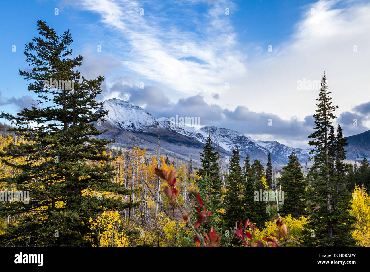 beautiful landscape in the mountains of Glacier National Park in ...