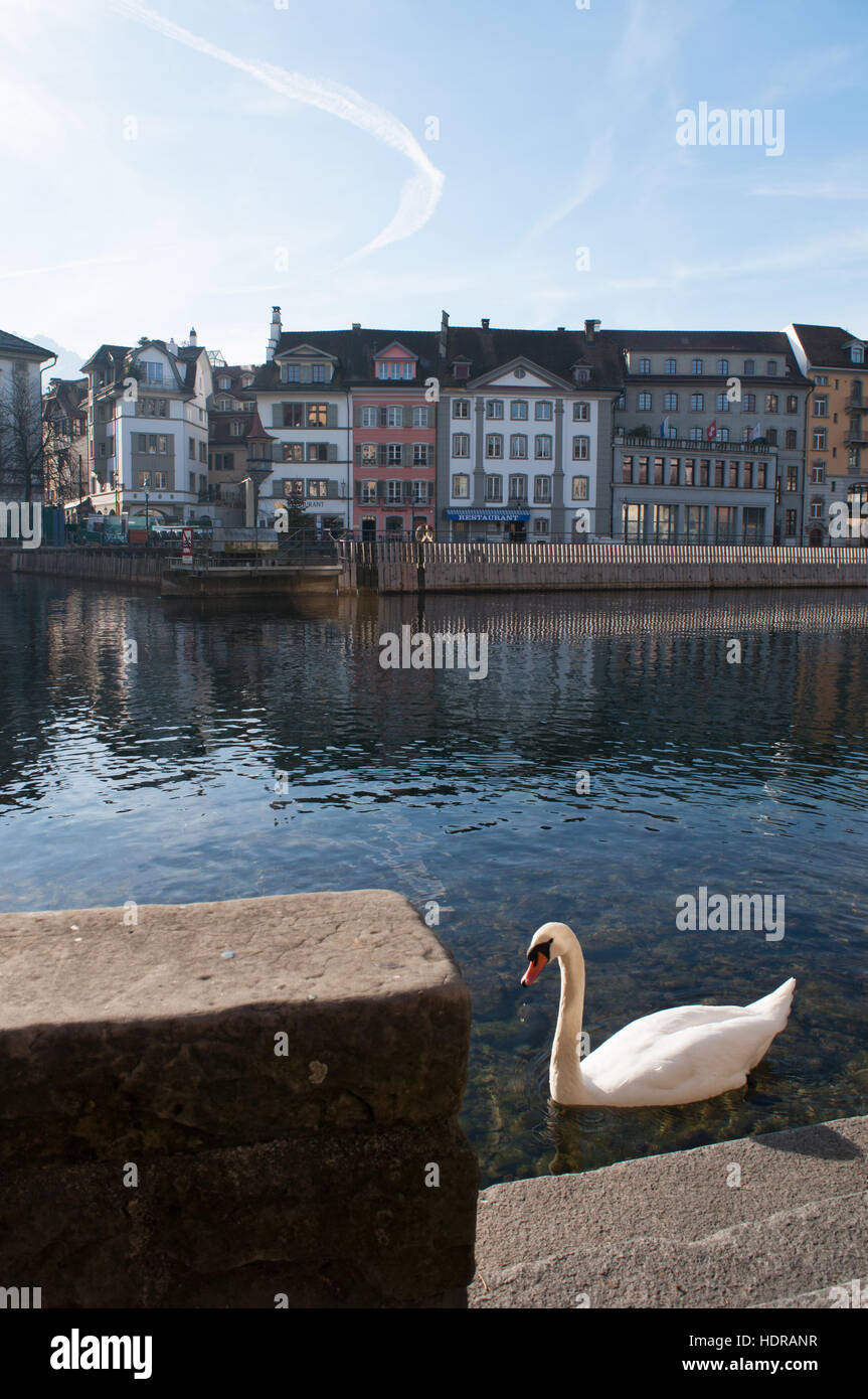 On swan road hi-res stock photography and images - Alamy