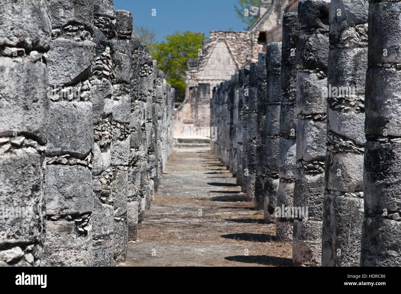 Columns in the Temple of a Thousand Warriors Stock Photo - Alamy