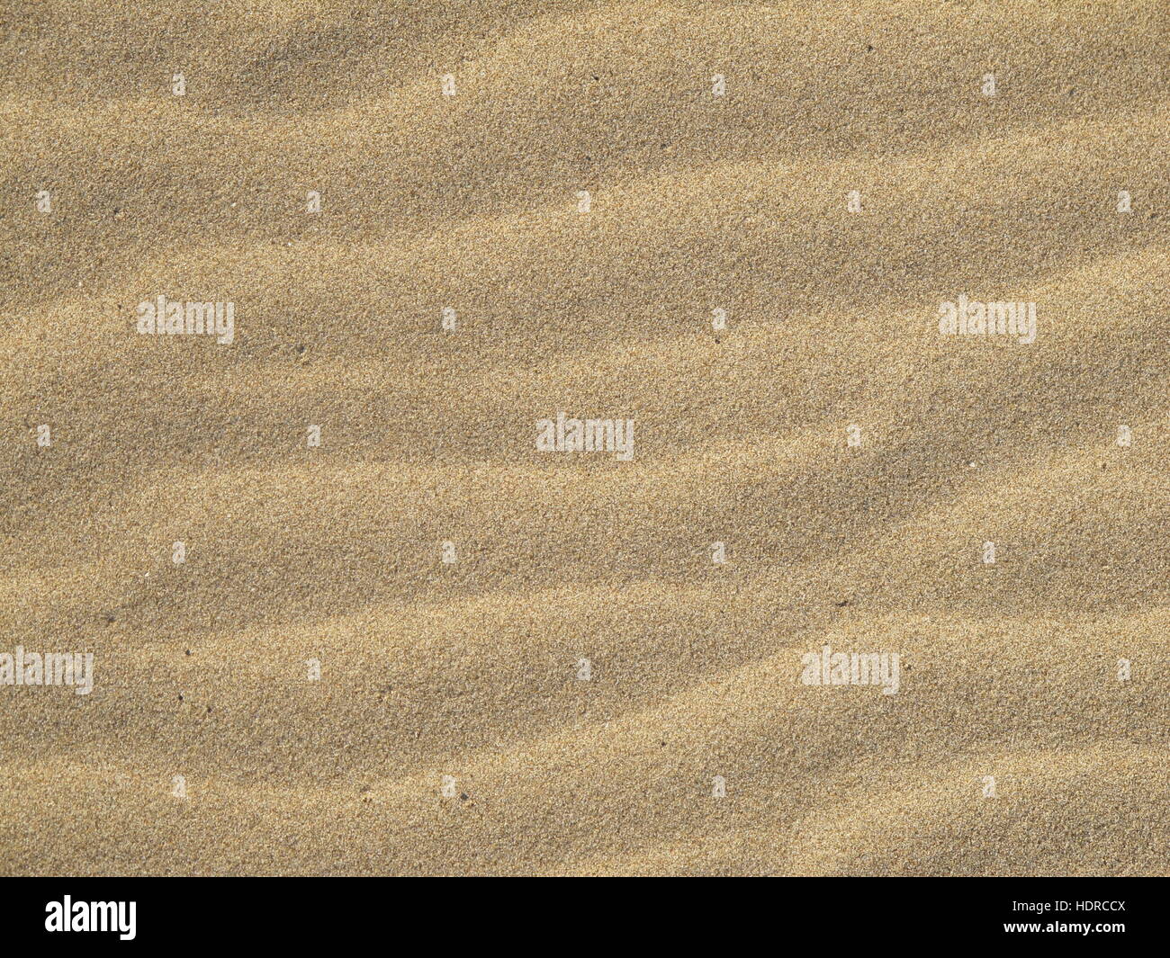 Gritty sand hi-res stock photography and images - Alamy