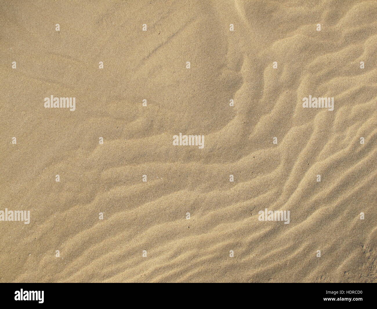 Gritty sand texture hi-res stock photography and images - Alamy