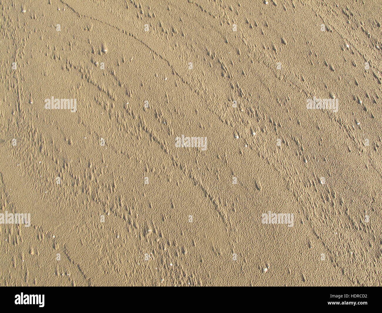 Beach background images hi-res stock photography and images - Alamy