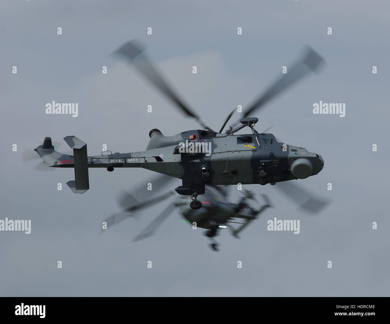 Royal Navy Black Cats Stock Photo - Alamy