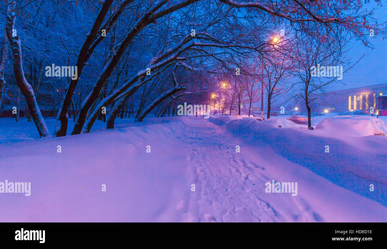 Night view of the winter city with snow-covered trees and lanterns ...