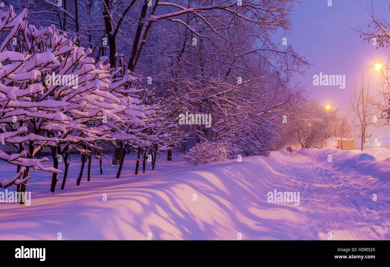 Night view of the winter city with snow-covered trees and lanterns ...