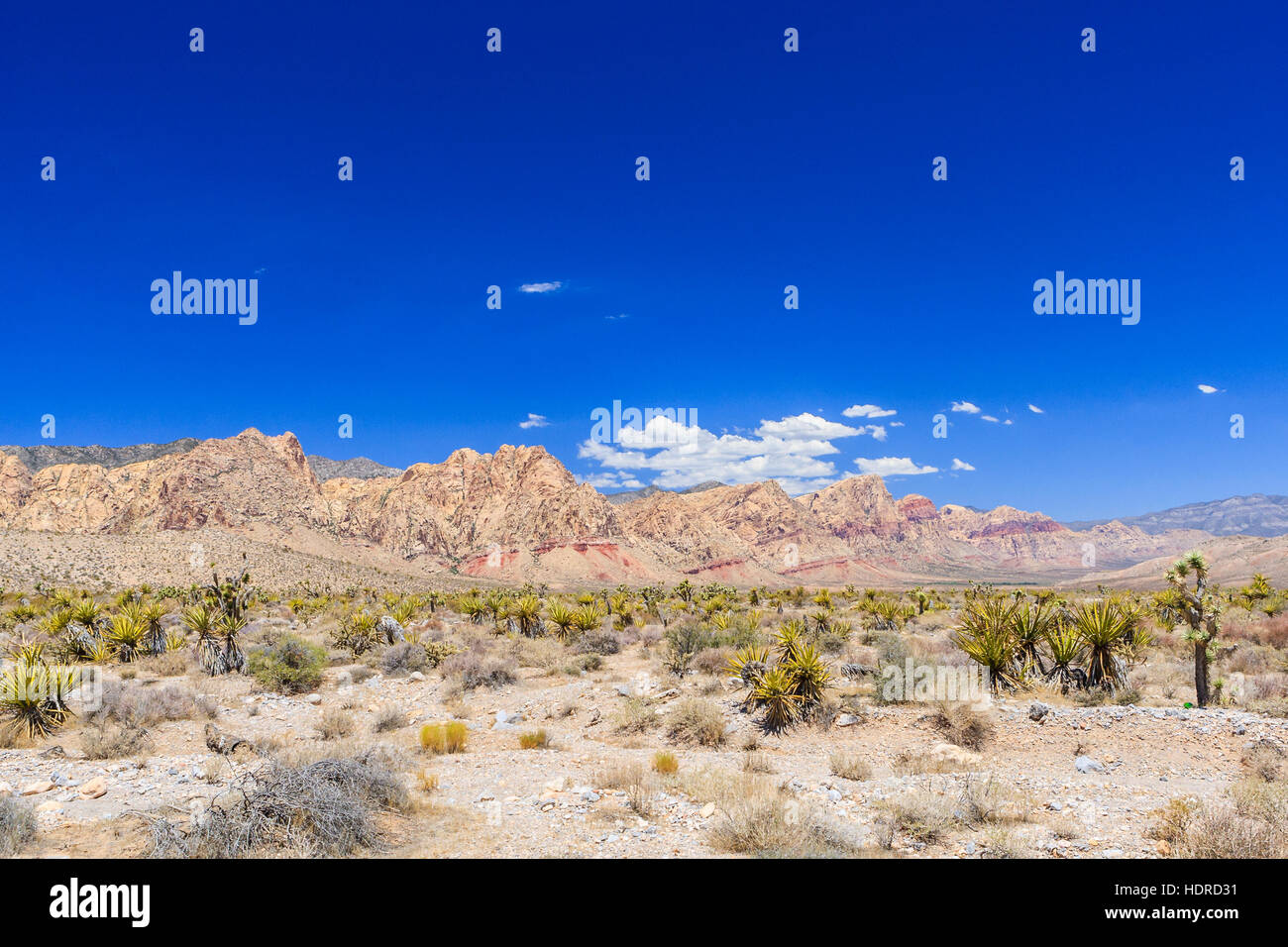 Majestic sandstone escarpment dominates the Red Rock Canyon National ...