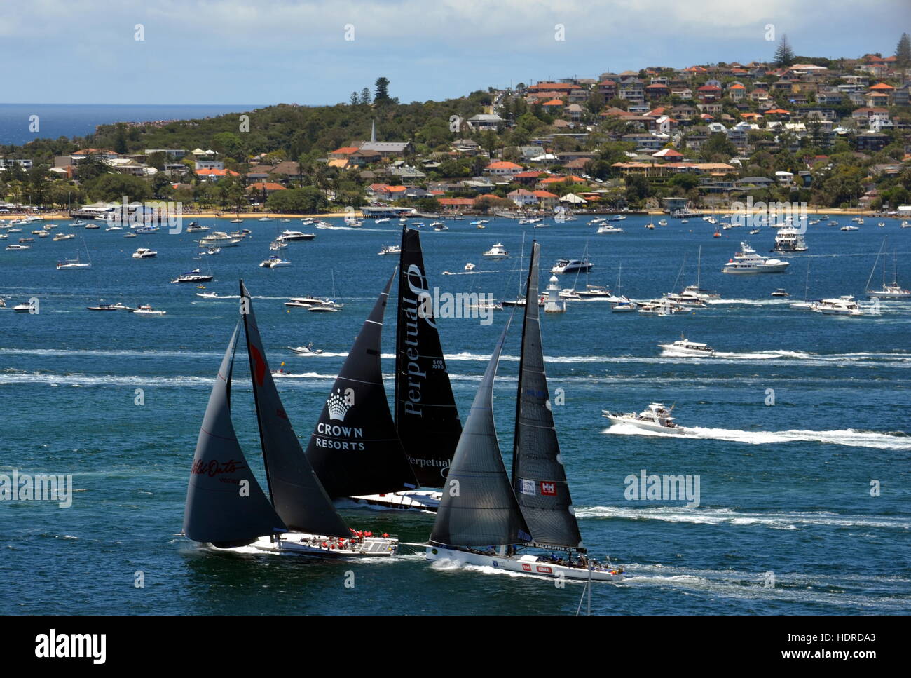 Australia day sydney regatta hi-res stock photography and images - Alamy
