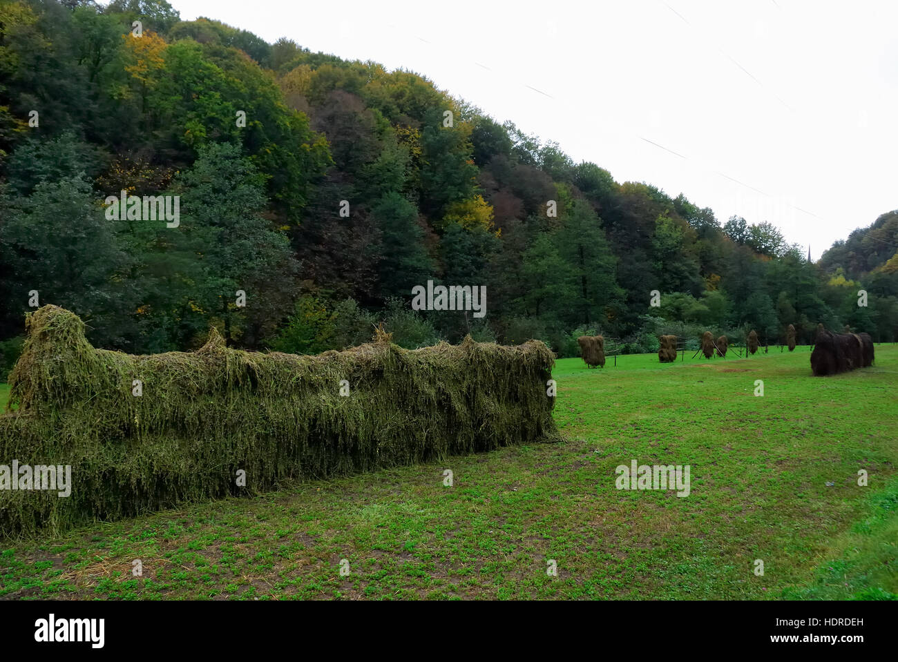 Maramures, an isolated Carpathian region of Romania. Hay drying rack ...