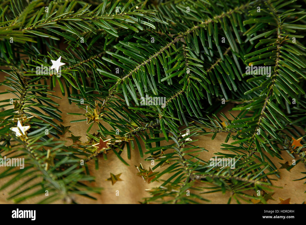Green fir tree and golden stars Stock Photo - Alamy