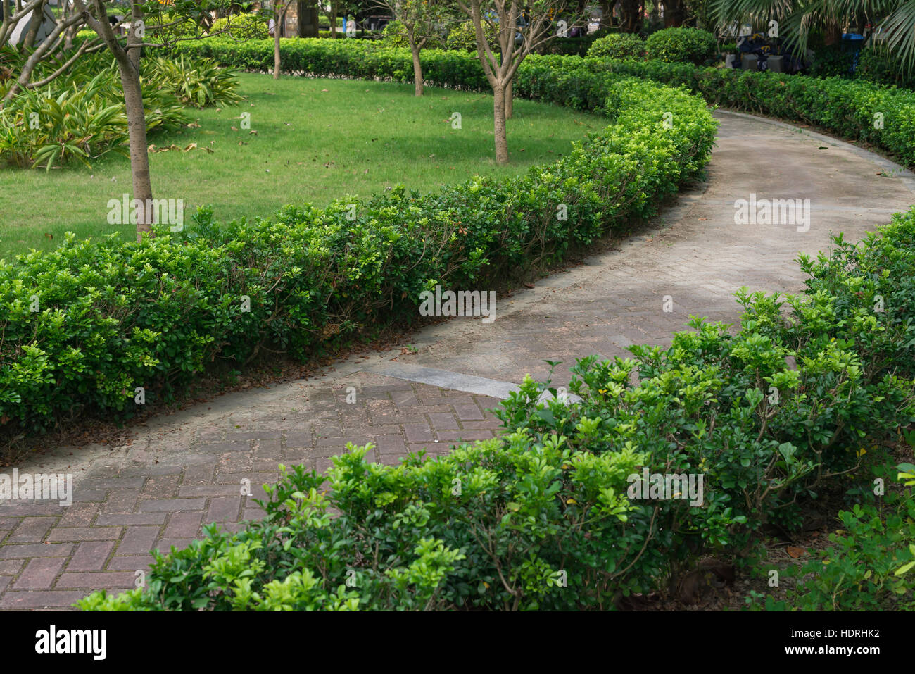 curved outdoor pathway in a park Stock Photo - Alamy