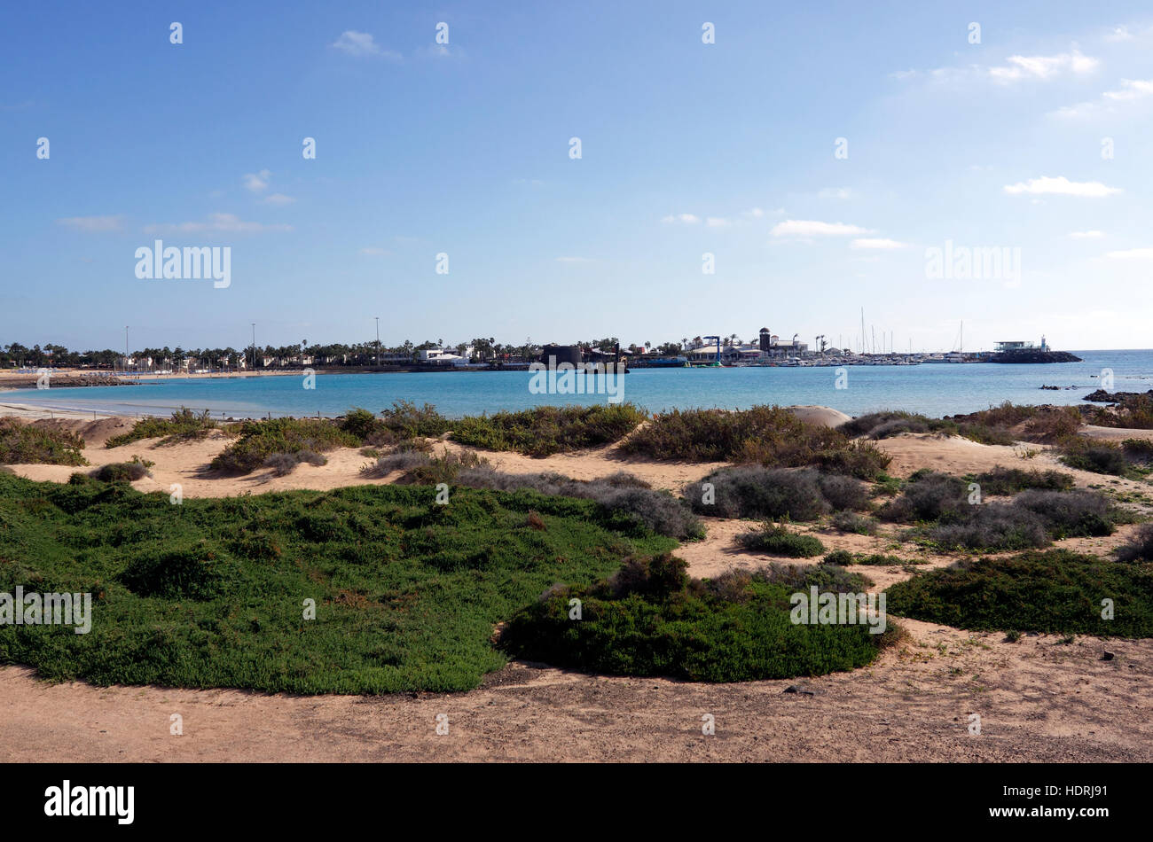 Costa caleta fuerteventura hi-res stock photography and images - Alamy