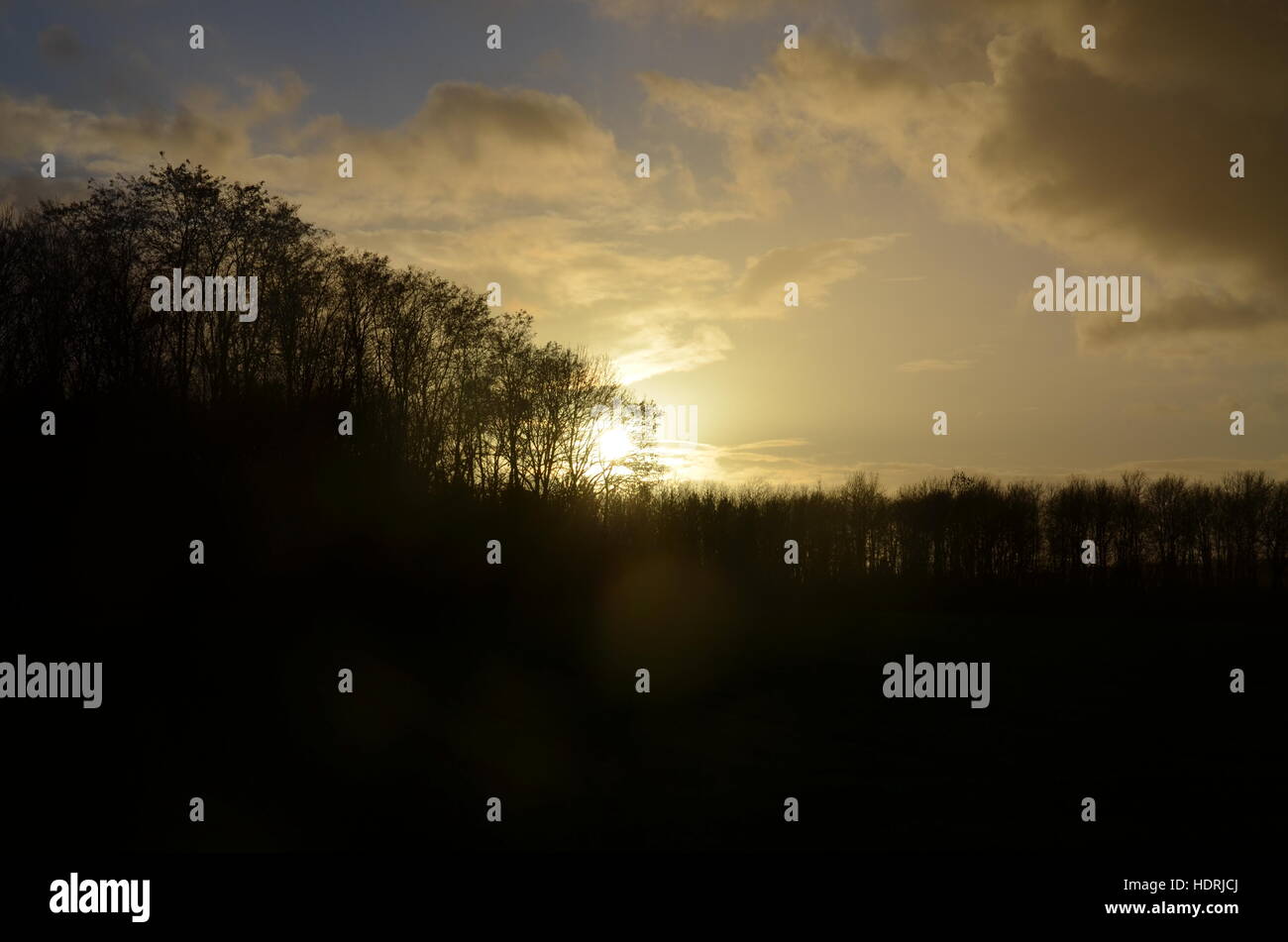 Sunset Forest Sunset Stock Photo - Alamy