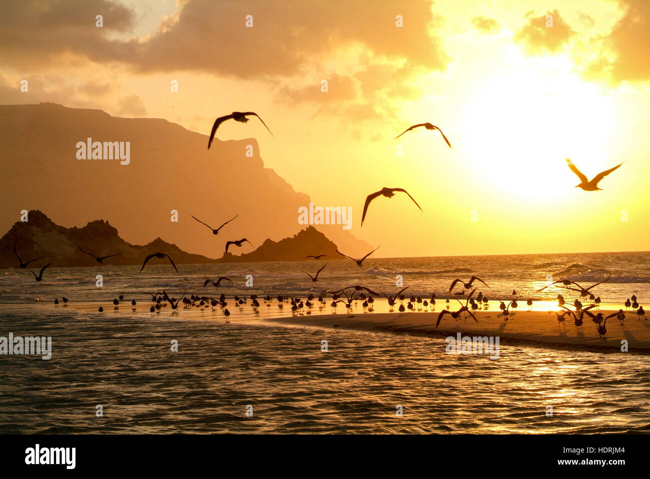 Sunset at the beach of Qalansiya on the island of Socotra, Yemen Stock ...