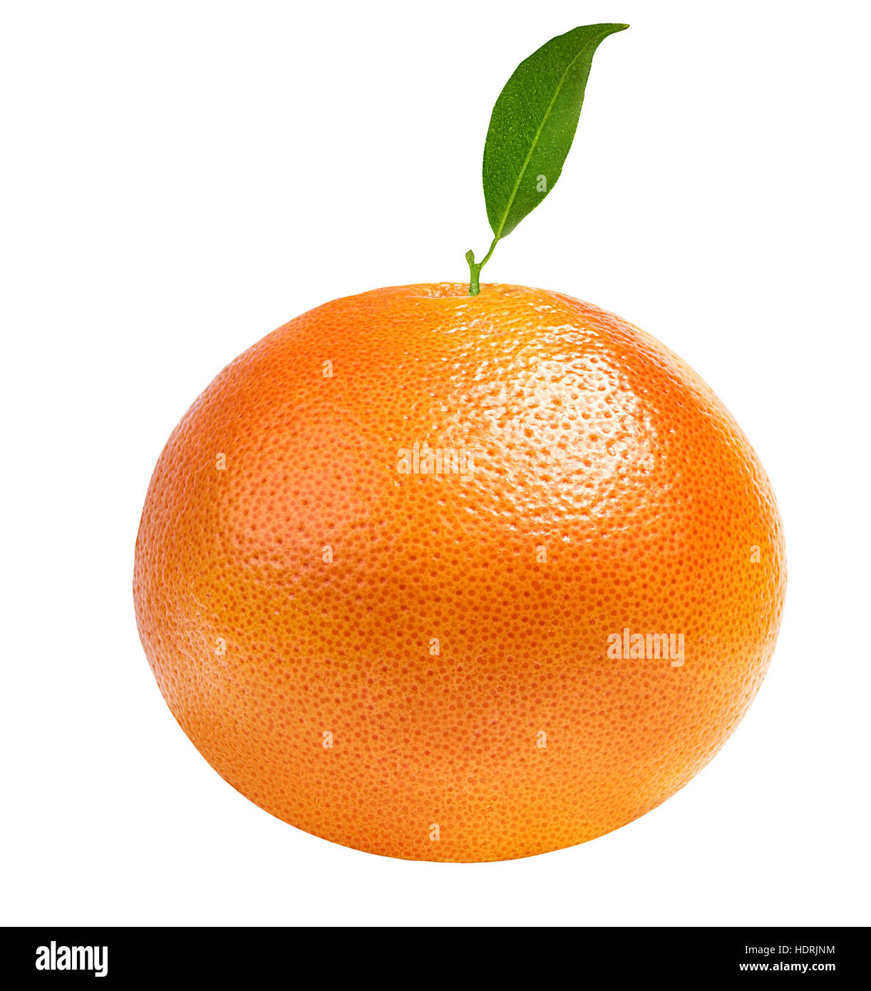 grapefruit isolated on white background Stock Photo - Alamy