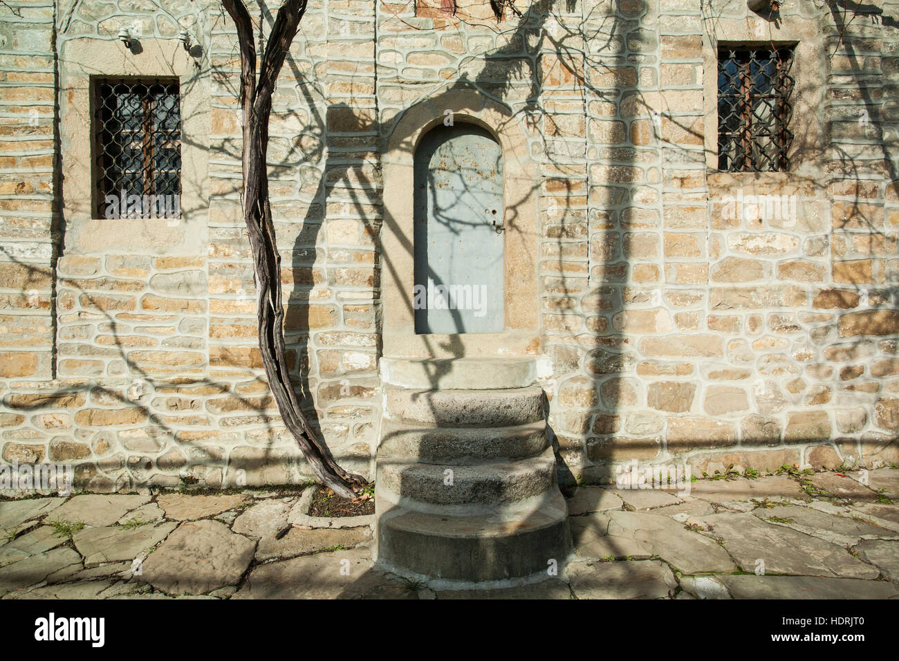 Tree shadow on the wall, architectural impression Stock Photo - Alamy