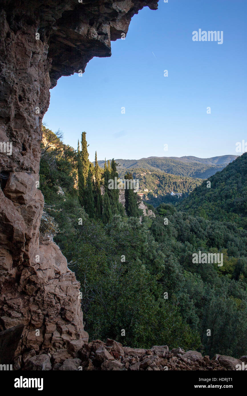 Zografou cyparissus tree hi-res stock photography and images - Alamy