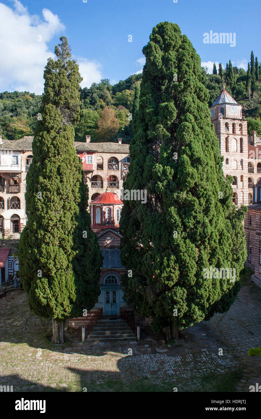 Zografou cyparissus tree hi-res stock photography and images - Alamy