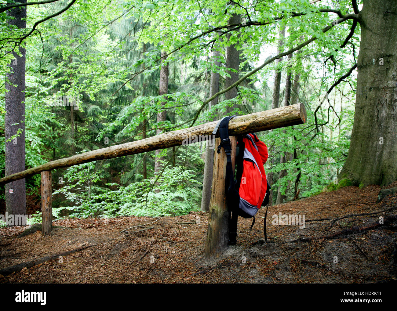 Saxony switzerland hi-res stock photography and images - Alamy