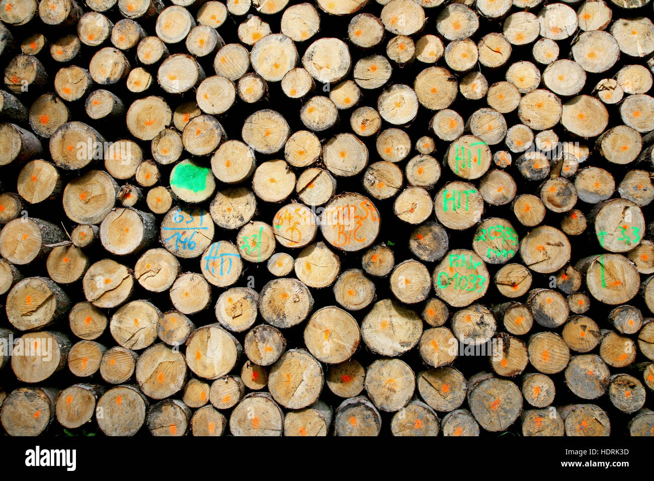 Tree trunks burning in forest hi-res stock photography and images - Alamy