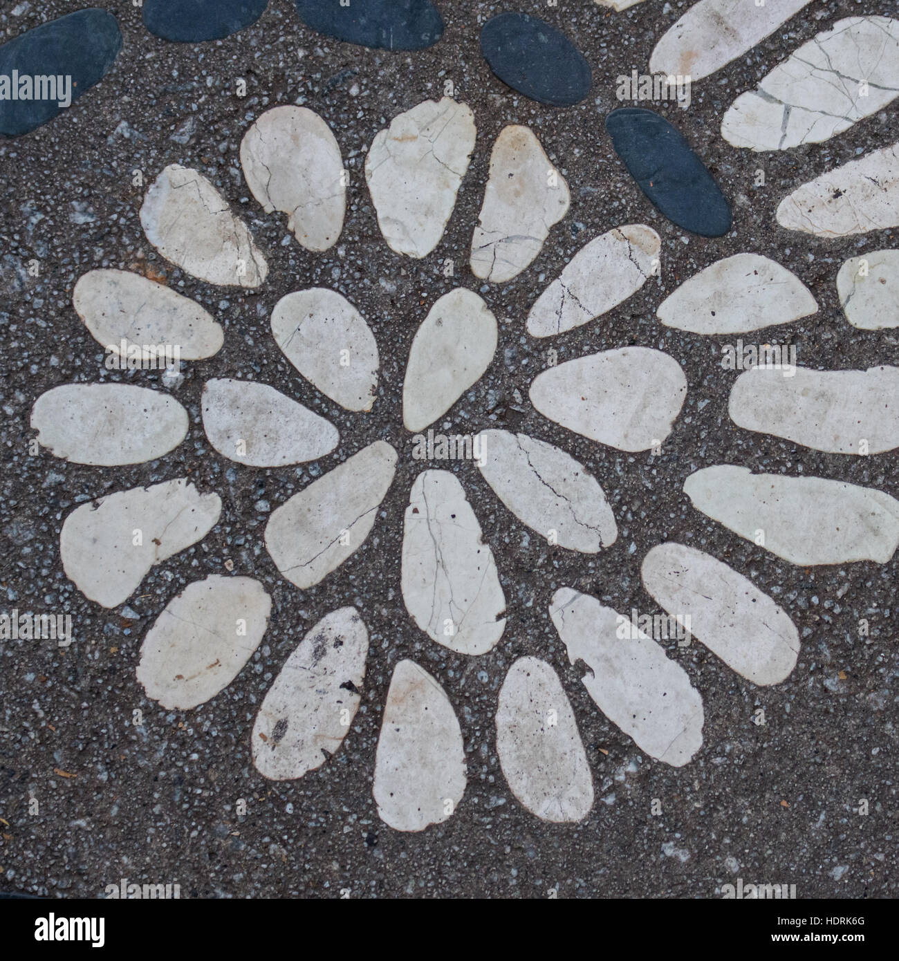 Spiral of Shells in Concrete Walking Path Stock Photo - Alamy