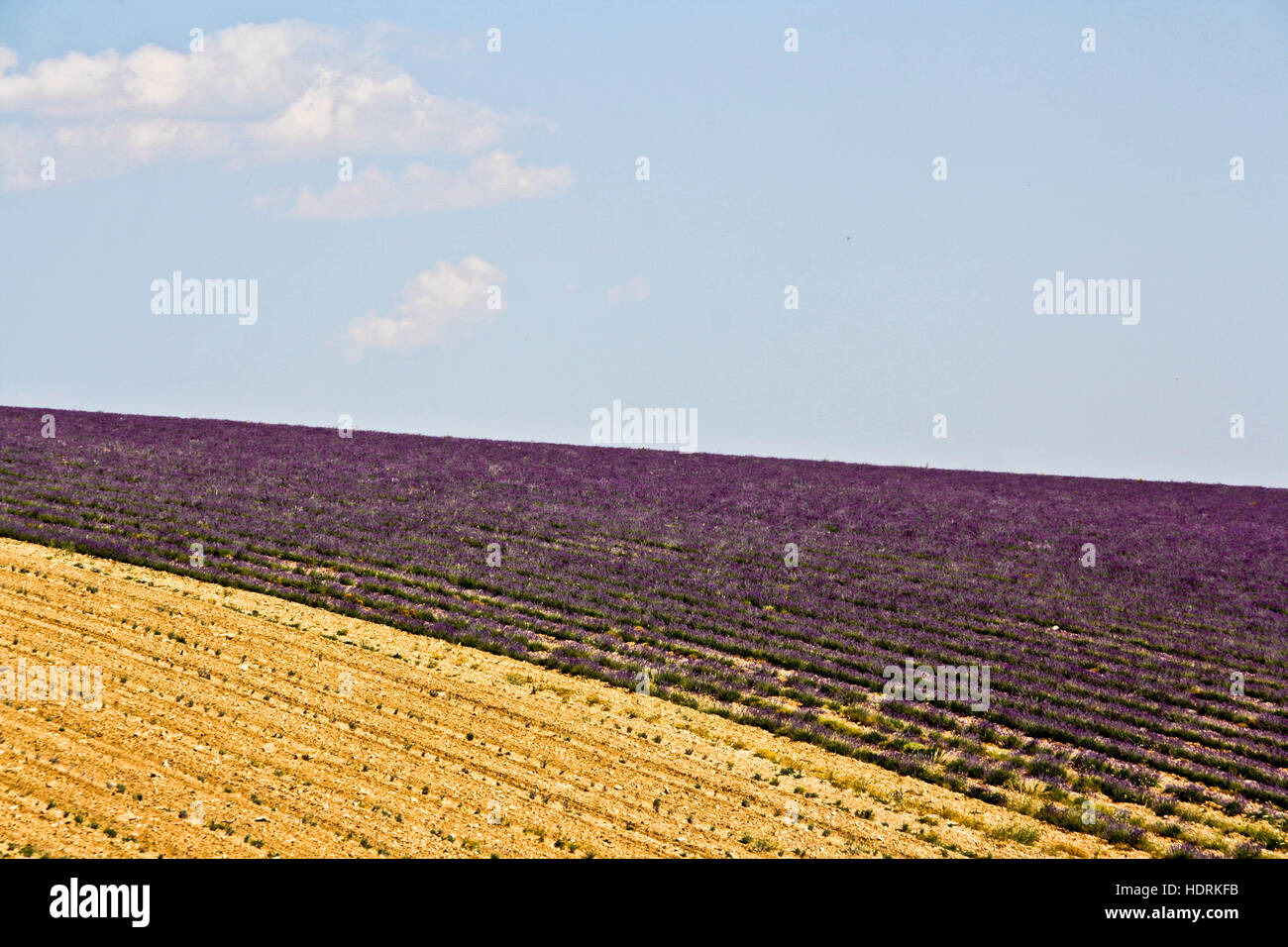Summer in Provence Stock Photo - Alamy
