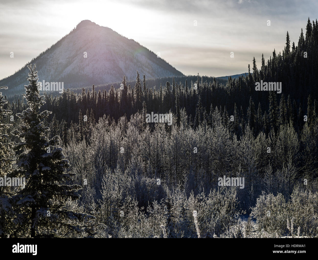 A peaked mountain under sunlight with forest in the foreground; British ...