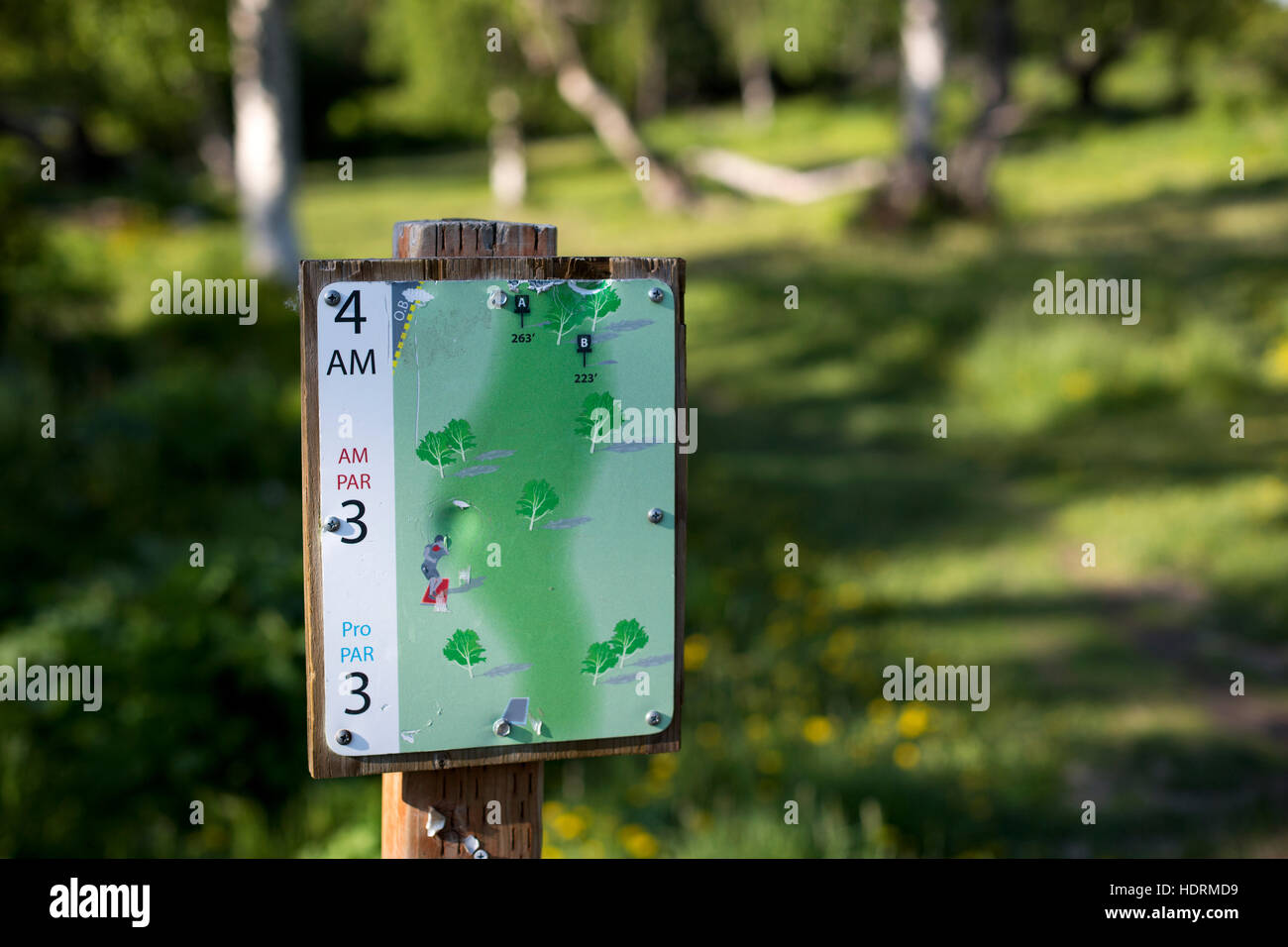 Disc Golf Scene Alaska at Brenda Marston blog