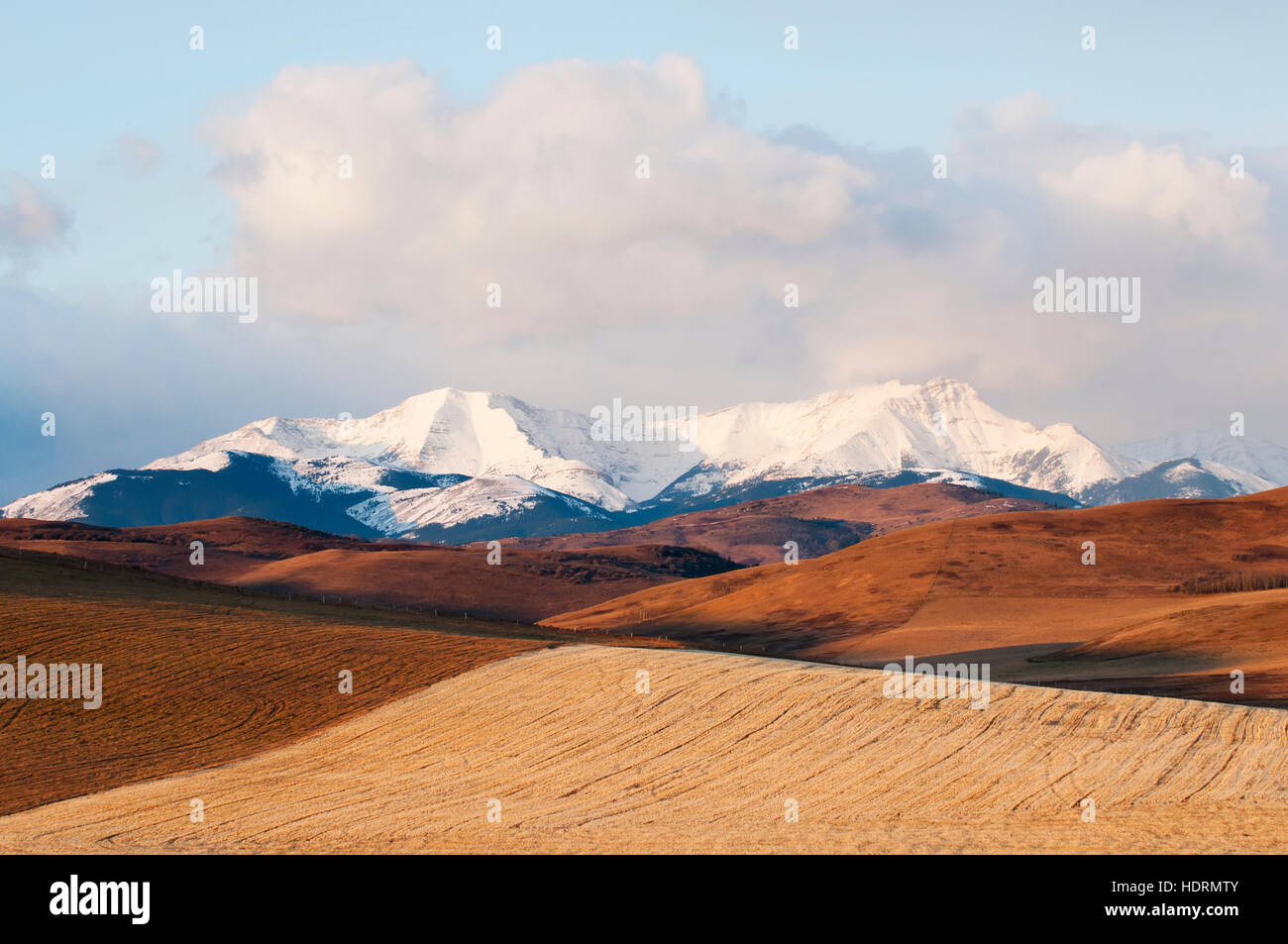 Alberta landscape with golden fields in the foothills and the Canadian ...