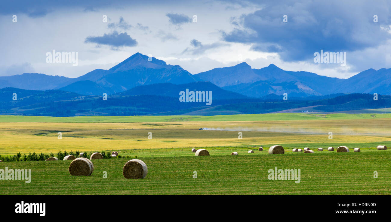 Hay bales in farm fields with foothills and Canadian rockies in the ...