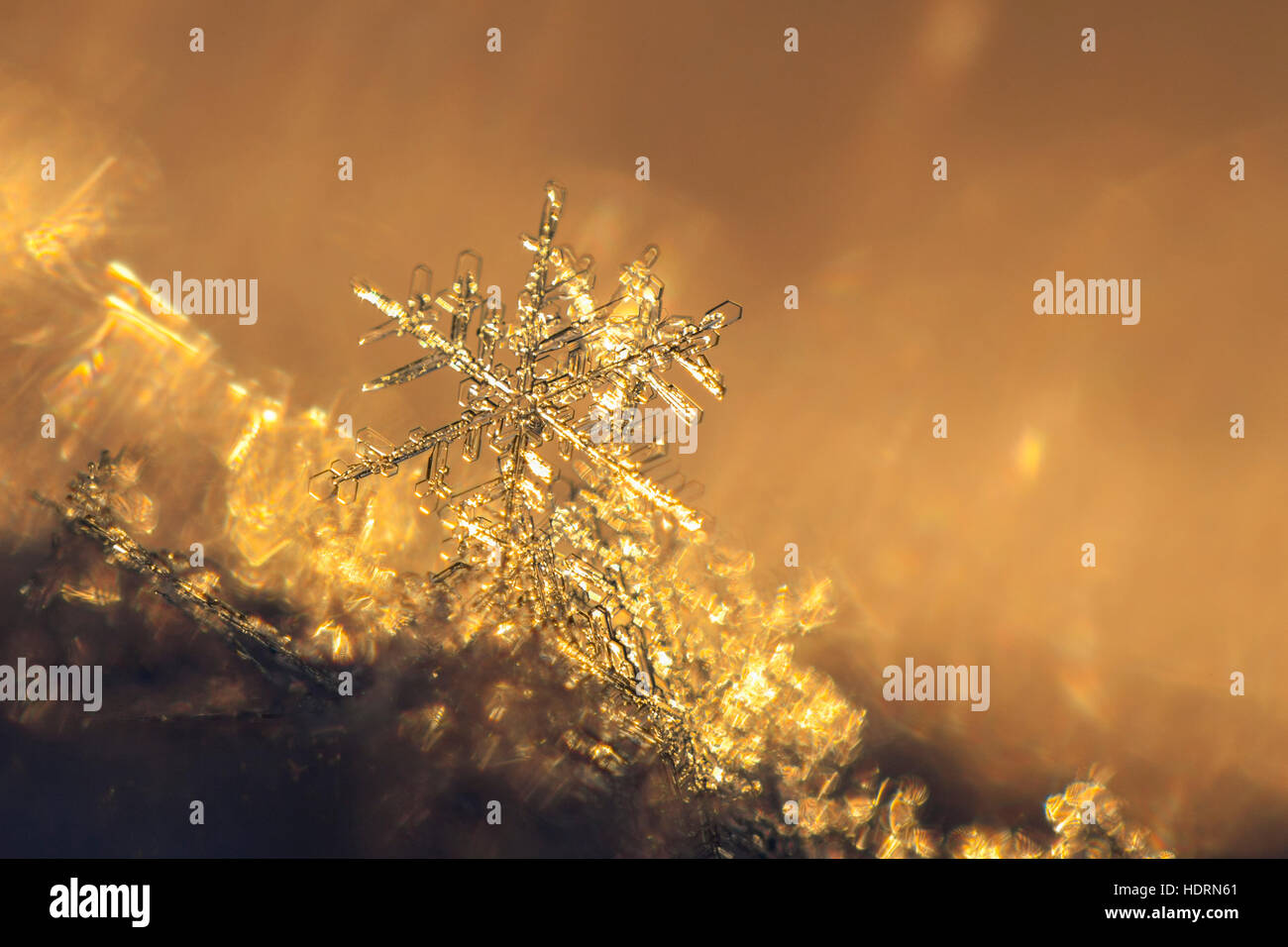 Prismatic colors hi-res stock photography and images - Alamy