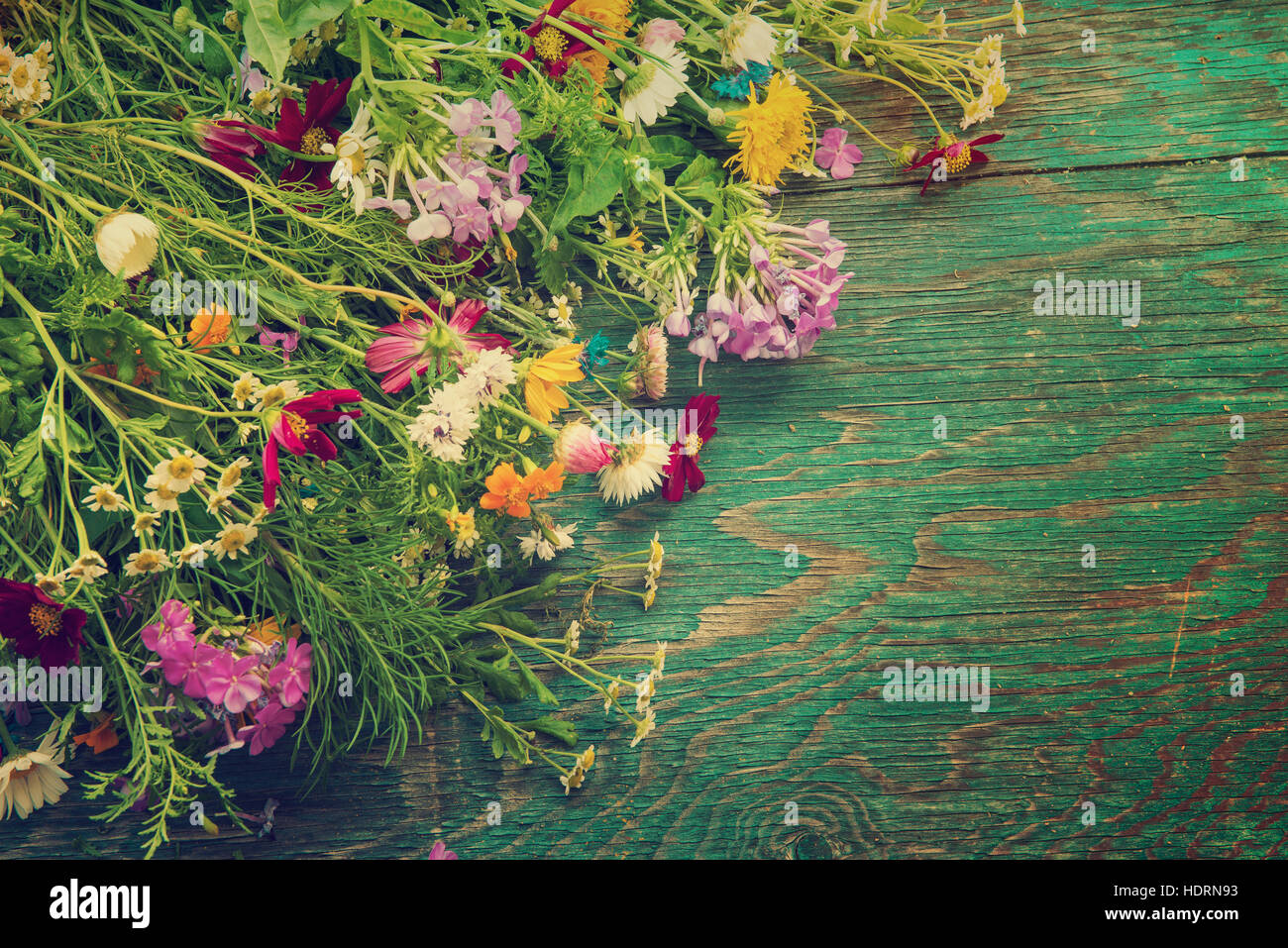 Summer flowers mock up Stock Photo - Alamy