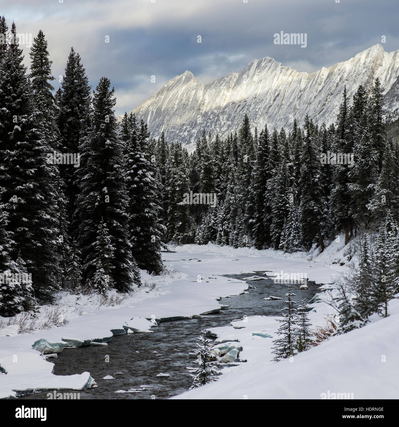 Snow covered forest and river with rugged mountain peaks in Jasper ...