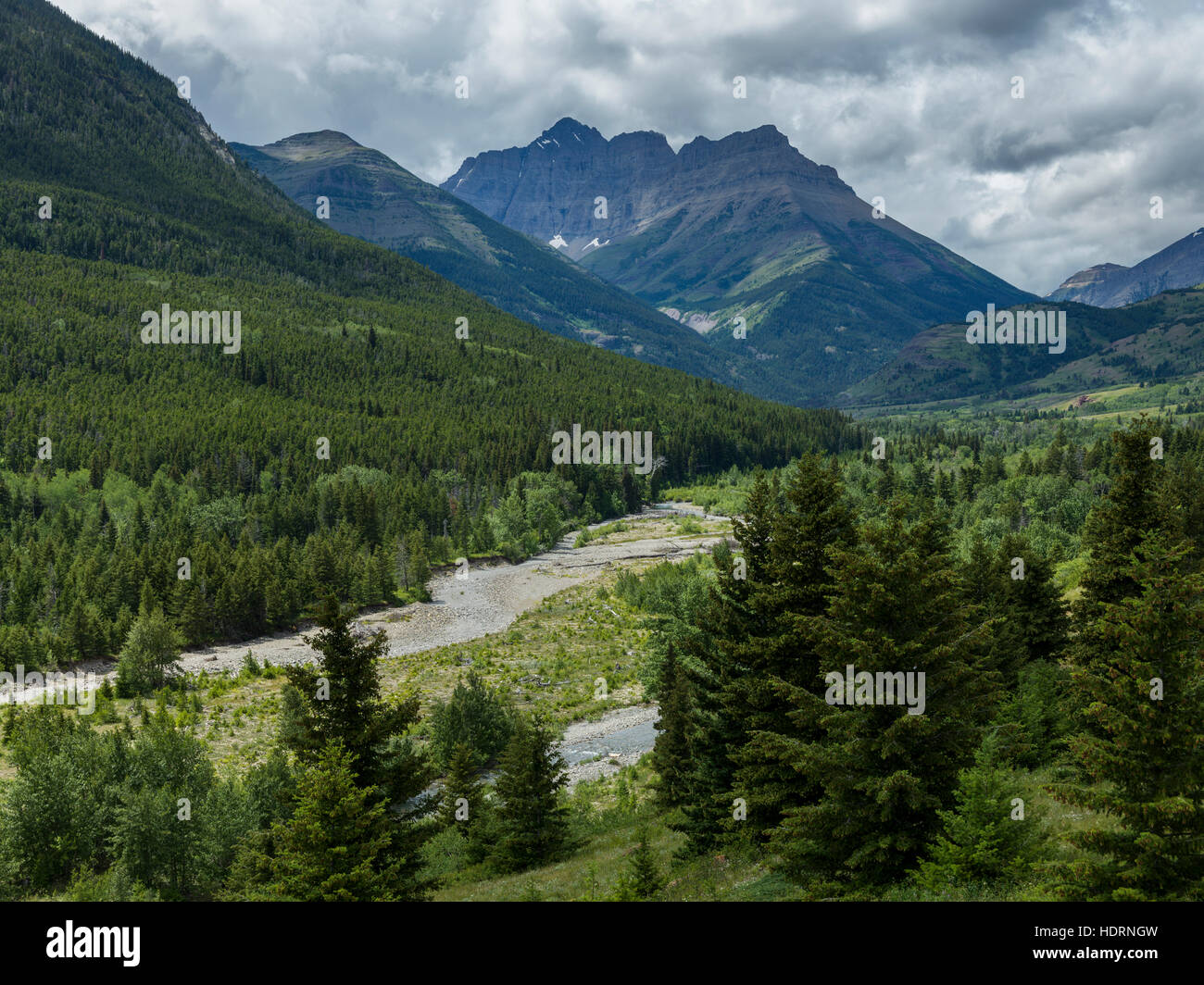 Rugged mountain peaks and green forested landscape, Waterton Lakes ...
