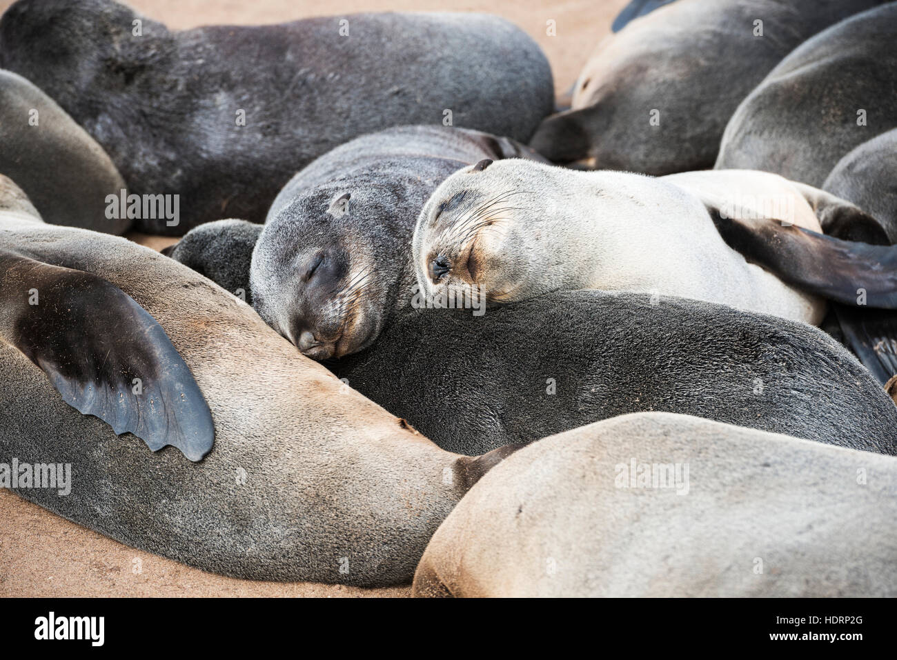 Skeleton sleeping hi-res stock photography and images - Alamy