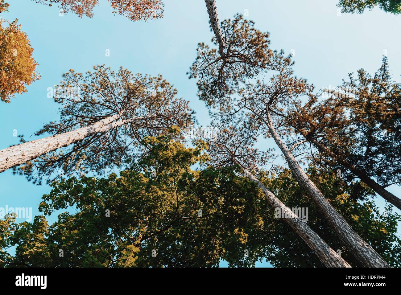 Below view hi-res stock photography and images - Alamy