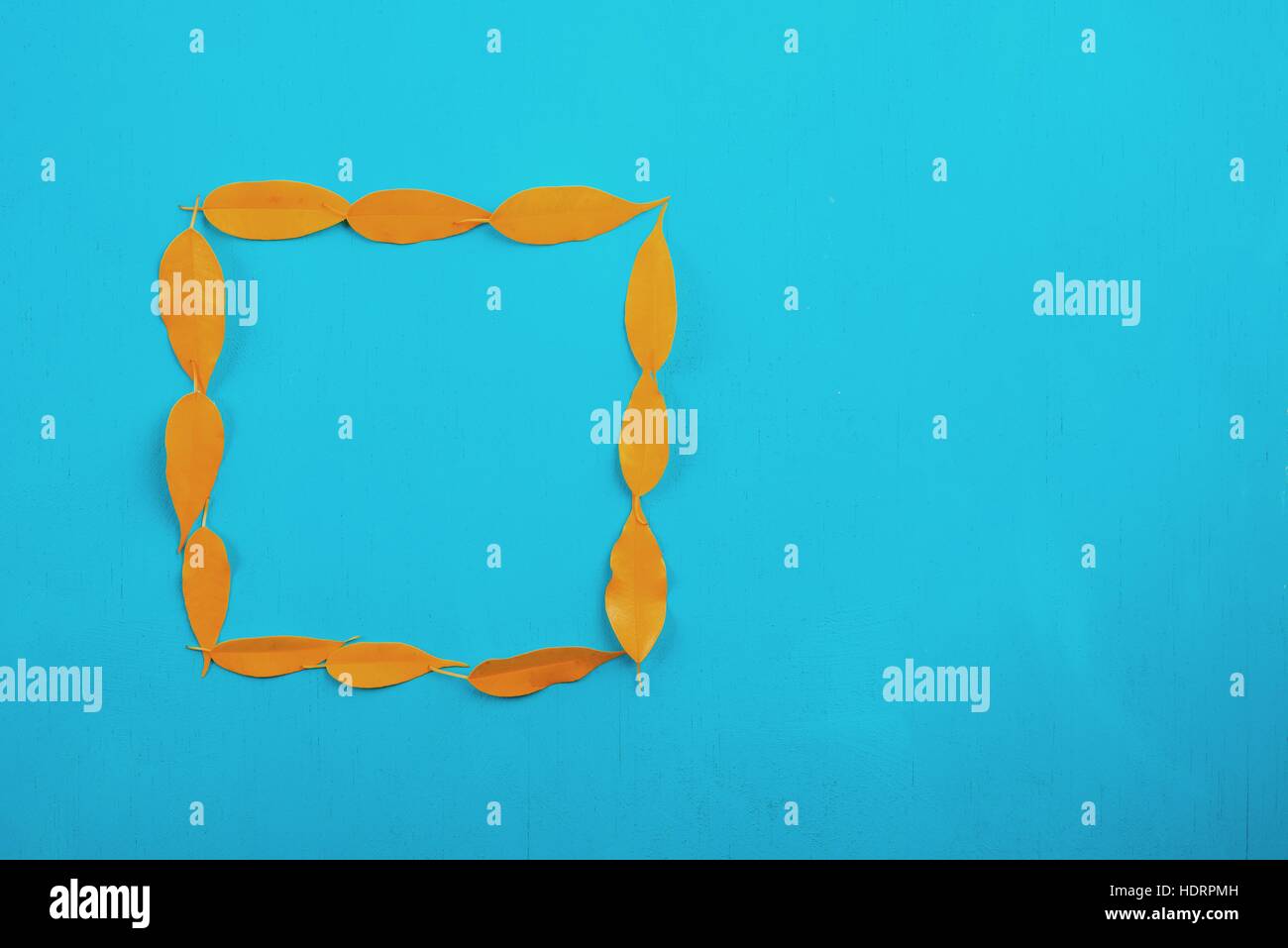 Square leaves hi-res stock photography and images - Alamy