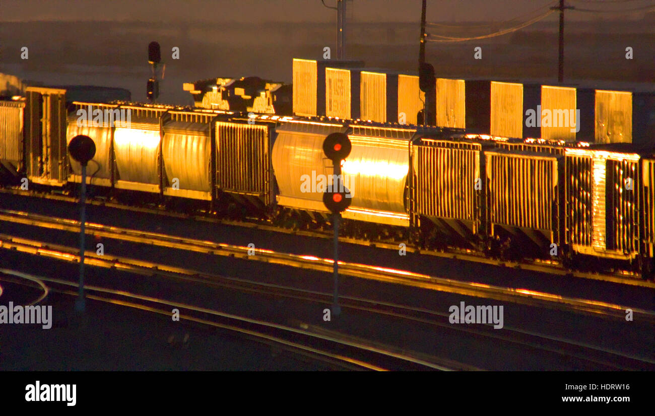 Orange sunset light reflects off the shiny side of a freight train in ...