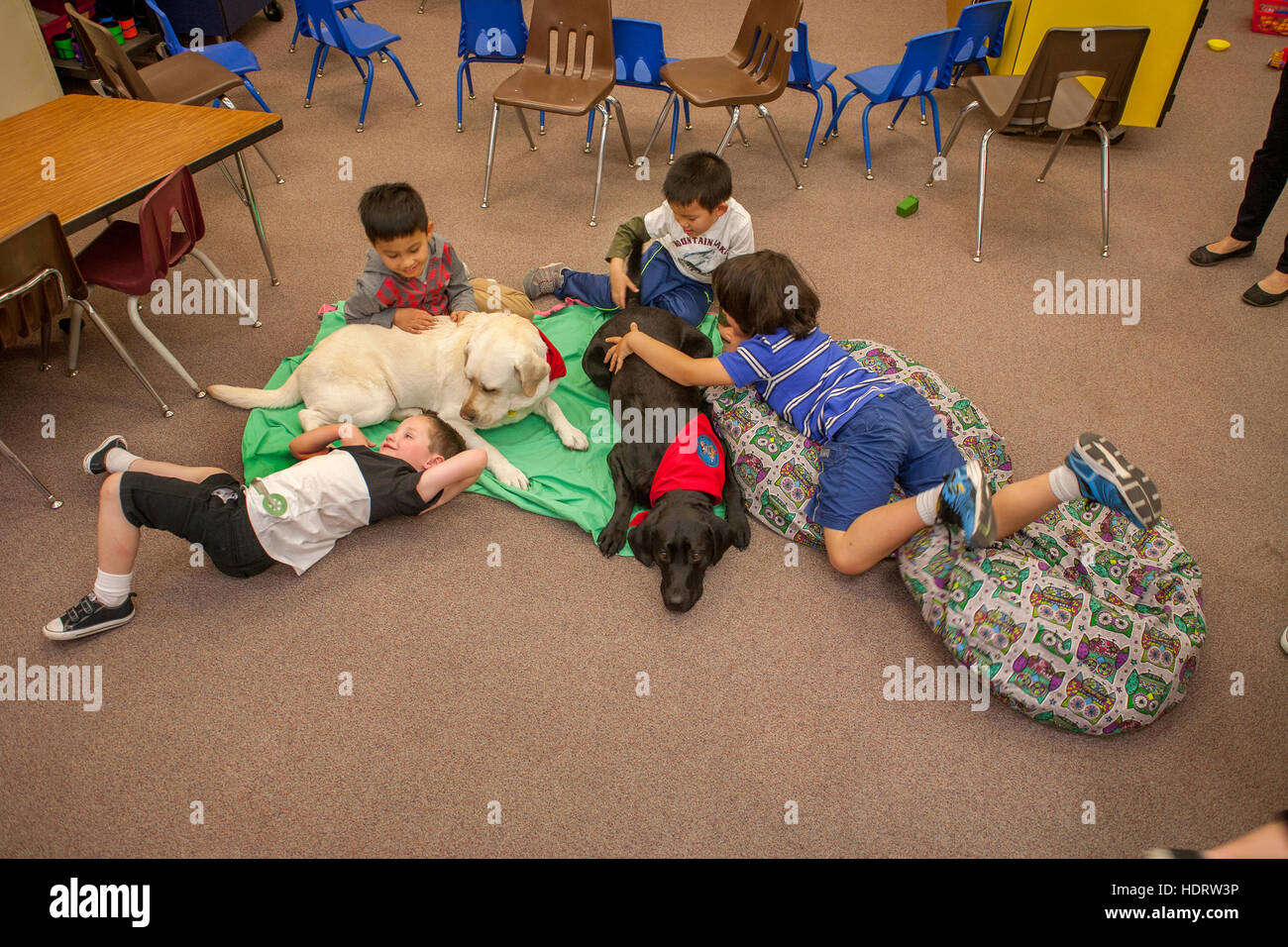 Multiracial young students hug a therapy dog on the floor of an ...