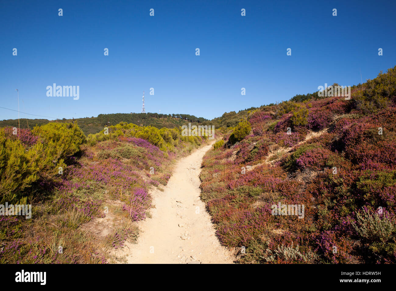 Road in the spanish countryside along the way of St. James Stock Photo ...