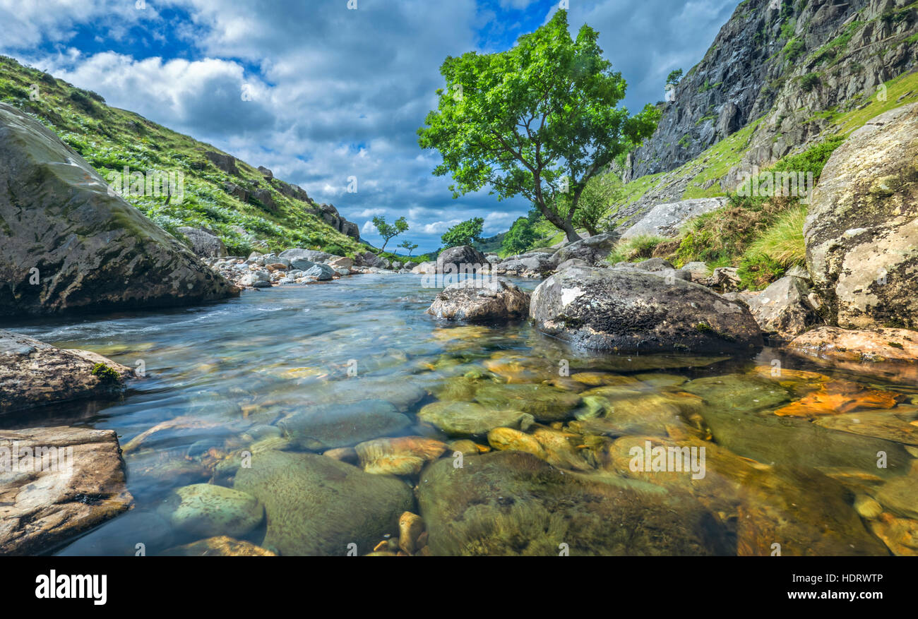 Crystal Clear Water of Mountain Spring in North Wales Stock Photo - Alamy